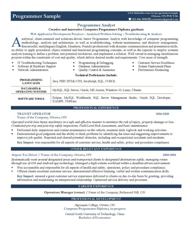 Sample Programmer Analyst | Resume Concept