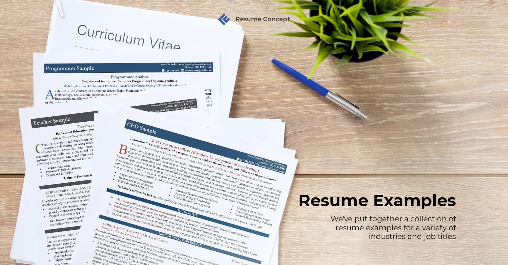 Canadian Resume Examples that'll get you hired in 2022
